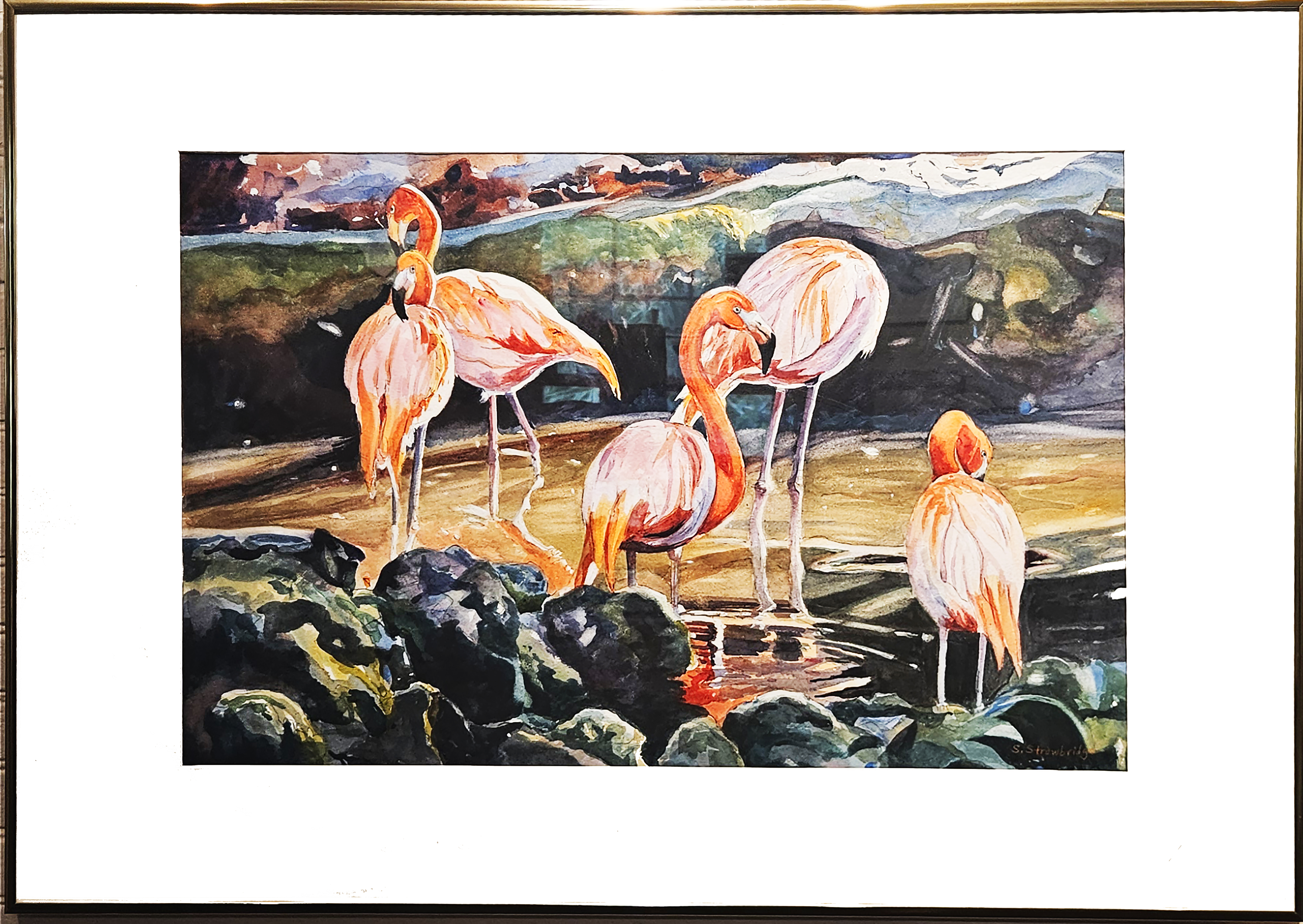 Paintings / Photography